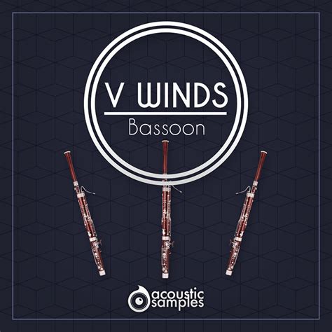 Vwinds Bassoon Acousticsamples Virtual Instrument