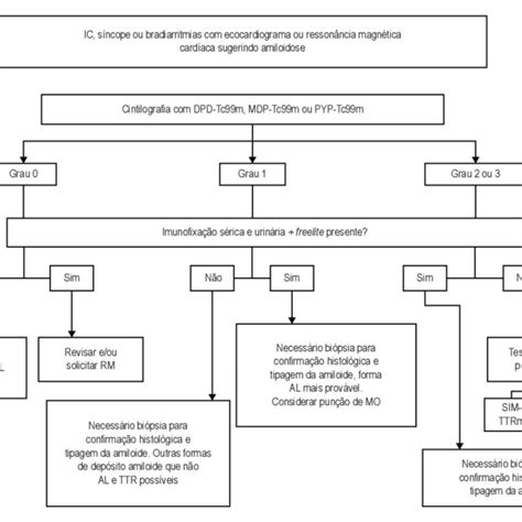 Example Of Scintigraphy With Pyp Tc99m To Investigate Cardiac Download Scientific Diagram