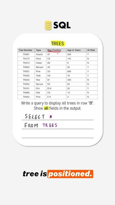 Searching For String Patterns Youtube