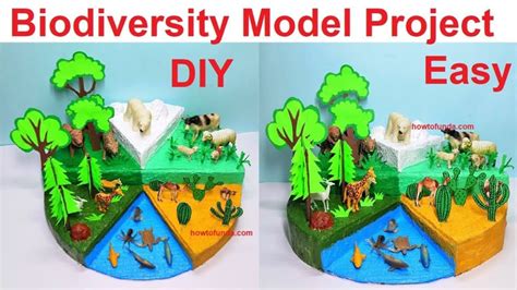 biodiversity model project for science exhibition diy simple and