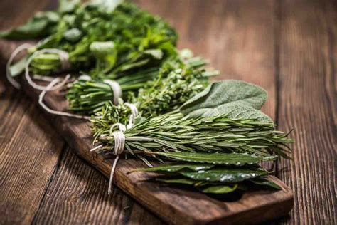 11 Erbe Che Devi Integrare Nella Tua Dieta Greenstyle