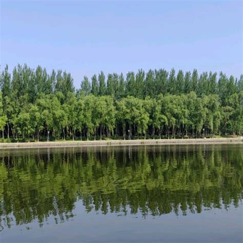 被处绞刑的日本甲级战犯广田弘毅，他的骨灰家属为何拒绝接收法西斯中华民国政府军人