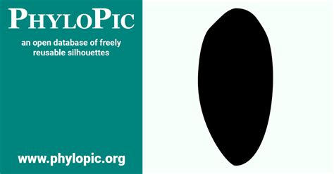 Methanobrevibacter Smithii Cc0 10 Phylopic