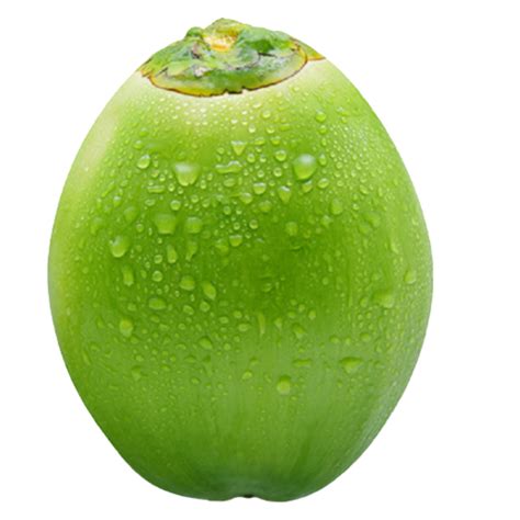 B Grade Fresh Coconut At ₹ 45 Piece In Chennai Id 2851108383397