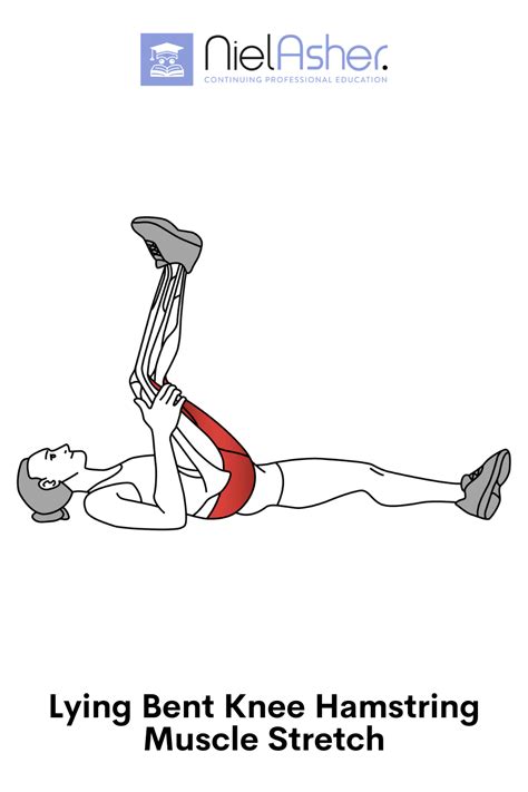 Treating The Hamstring Muscles Artofit