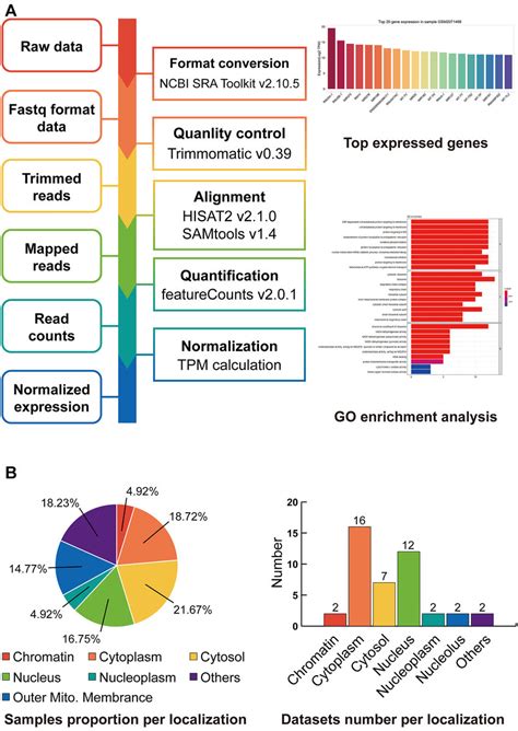 Summary Of The Rna Seq Datasets A The Workflow Of Rna Seq Datasets Download Scientific