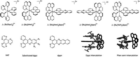 Important Ruthenium Complexes And Binding Modes¹⁷⁴ Reproduced From