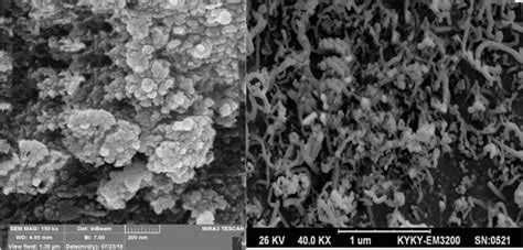 Left Sem Image Of Fe3o4 Tio2 Right Sem Image Of Fe3o4 Tio2 Mwcnt Mncs Download Scientific