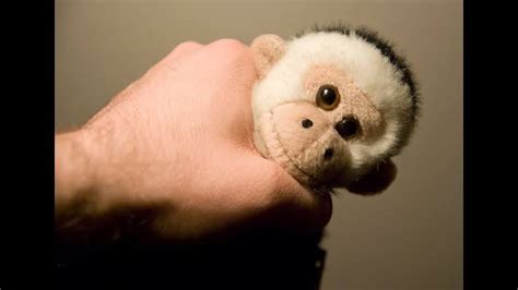 Talker Spotted With A Caucasian Mammoth Sex And Relationships Kenya Talk