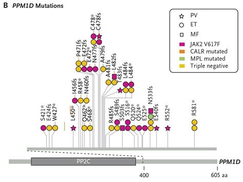Classification ของ Cancer Precision Medicine