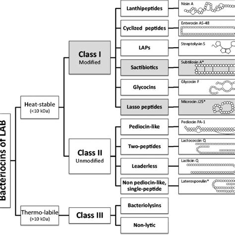 Schematic Representation Of Bacteriocin Gene Clusters Not Drawn To Download Scientific Diagram