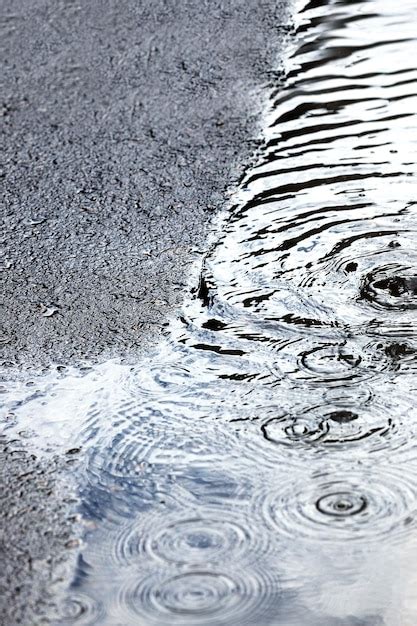 Premium Photo Rain Puddles