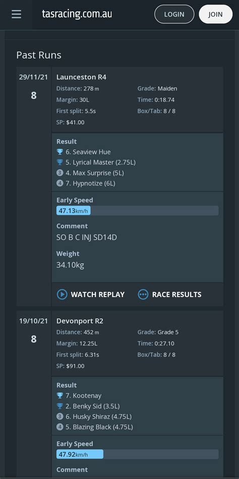 Security In Place At Greyhound Adoption Program Tasmanian Times