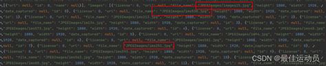 【深度学习】yolov5实例分割 数据集制作、模型训练以及tensorrt部署 Csdn博客