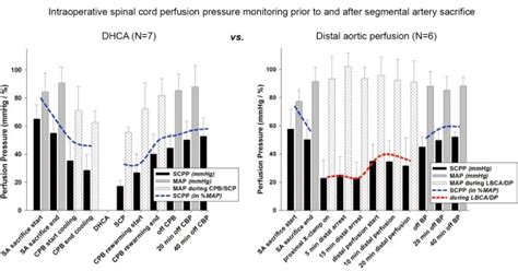 The Anatomy Of The Spinal Cord Collateral Circulation Pmc