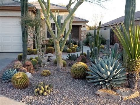 Desert Landscape Front Yard Cactus Garden Design