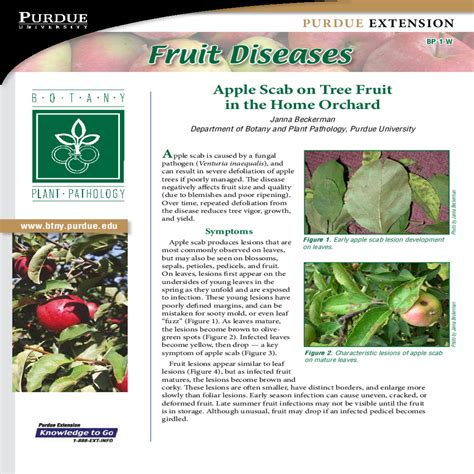 Figure Life Cycle The Apple Scab Pathogen