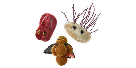 No Fun Guys Bacteria Mrsae Coliflesh Eating