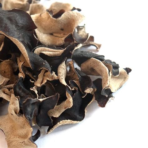 What Is Wood Ear Mushroom At Jesse Banks Blog