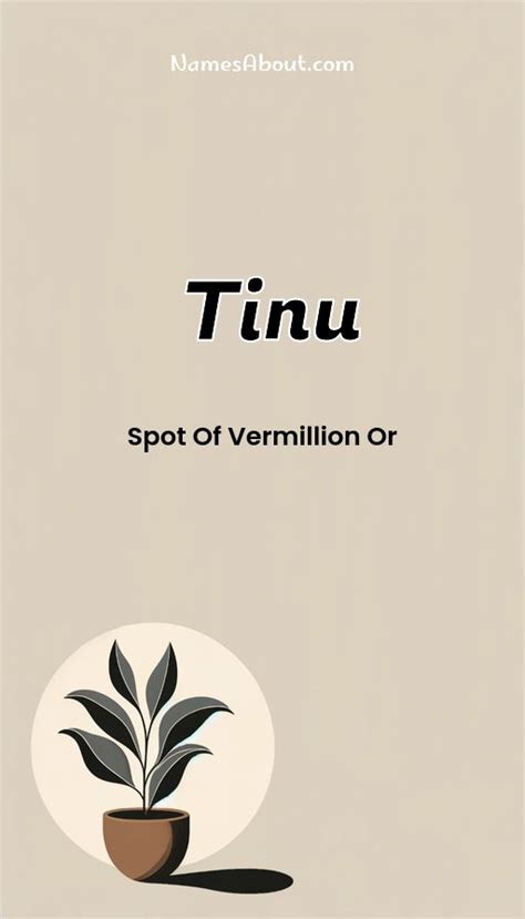 Tinu Name Meaning And Origins Nicknames Sibling Ideas