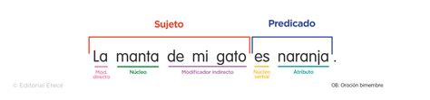 Núcleo Del Predicado Qué Es Tipos Y Ejemplos
