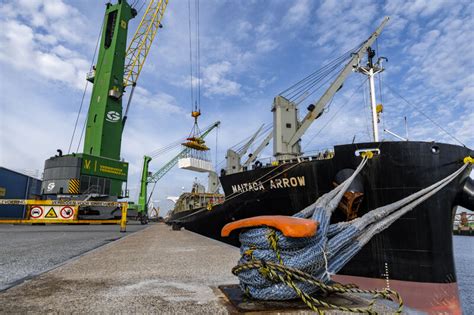 Dolf Van Dijk On Linkedin Verbrugge Woodpulp