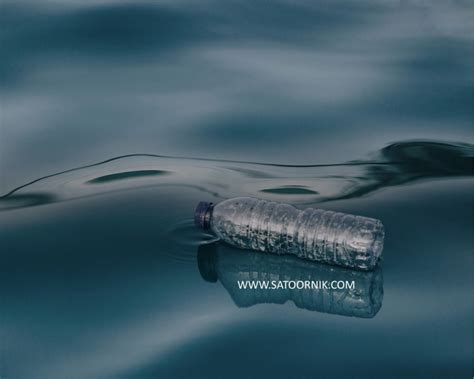 Confronting Pollution The Denial Method Challenged