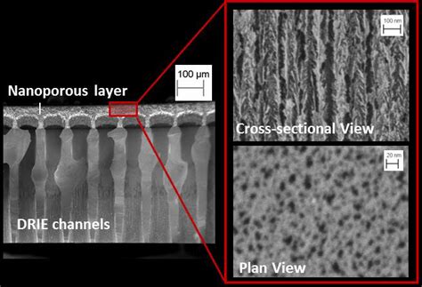 Electron Micrographs Of The Two Layer Membrane Formed In Silicon Via