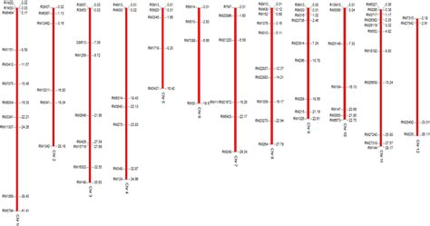 Chromosomal Location Of The Polymorphic Markers Used For The Background