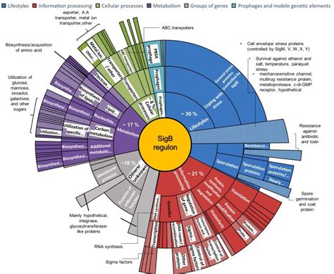 Our New Publication On Spore Forming Bacteria In Foods Is Available