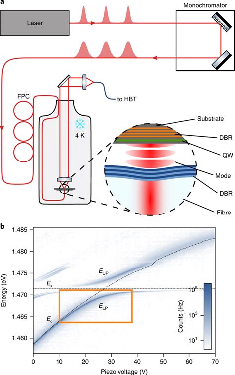 Experimental Set Up For Cavitypolaritons A A Fibre Cavity Is Driven Download Scientific