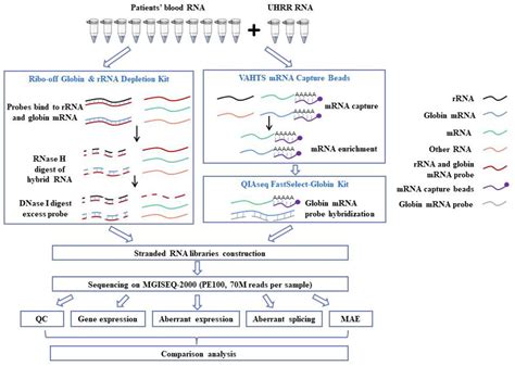 Systematic Evaluation Of The Two Main Blood Based Rna Seq Approaches