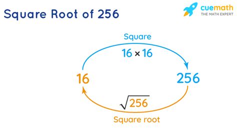 Square Root Of 256 How To Find The Square Root Of 256 Cuemath