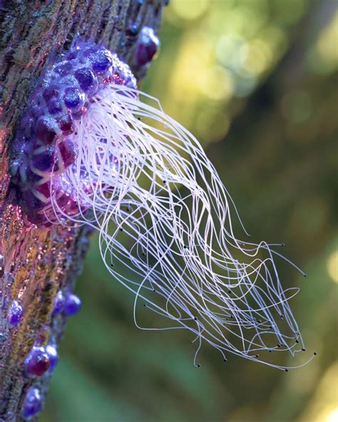 Luke Penrys Fake Artworks Inspired By The Natural World