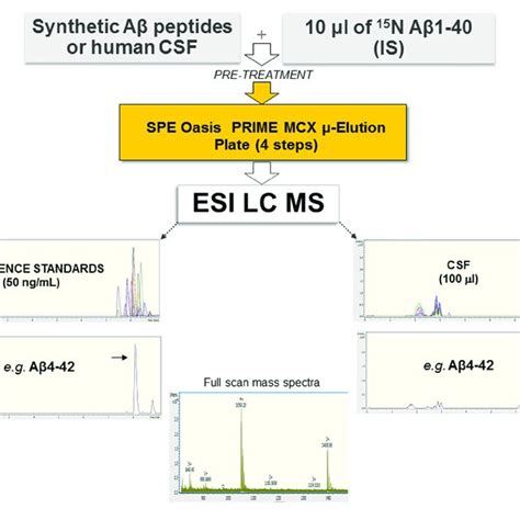 schematic representation of the method employed based on spe and