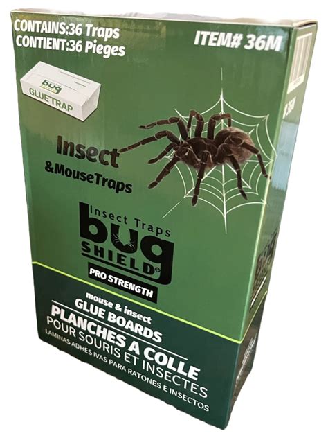 Bug Shield Sticky Glue Traps 36 Glue Boards All Types Of Incets Spid