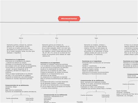 Micronutrientes Mind Map
