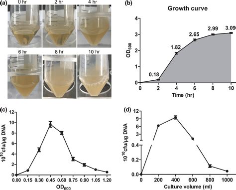 Effects Of Culture Conditions On Electrotransformation Efficiency In Download Scientific