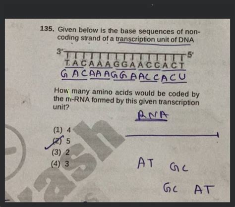 Given Below Is The Base Sequences Of Noncoding Strand Of A Transcription
