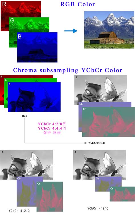 UHD AV 가지 기준 전문 자유 게시판 UHDTV User Forum