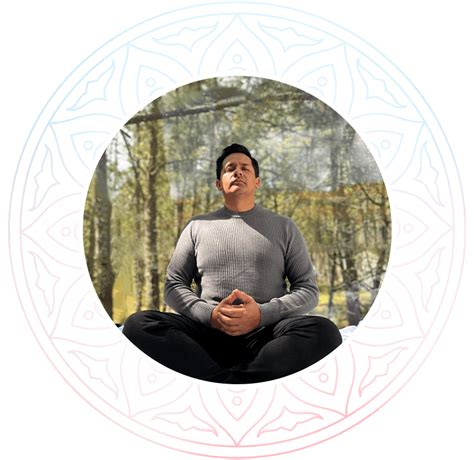 Savan Descubre Con Savan El Poder Transformador De Las Regresiones Adéntrate En Tu