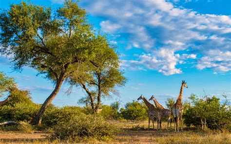 Tour South Africa Adventure 12 Day Intro Travel Sa