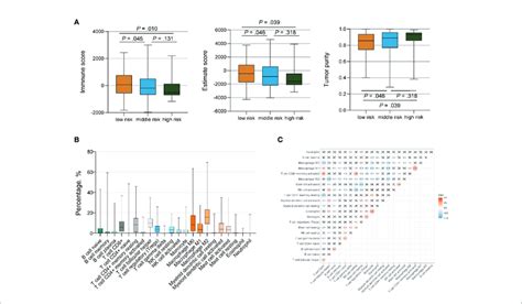 Immune Infiltration Of Tumor Cells By The Tp53pik3caatm Mutation