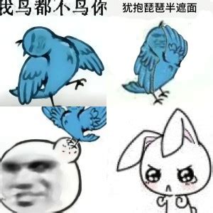 我鸟都不鸟你表情合集 蓝色人脸鸟配文“我鸟都不鸟你”，尽显不屑无视态度表情包图片动图 求表情网斗图从此不求人