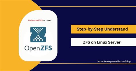 Understand Zfs On Linux Server An In Depth Guide
