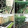 Plant Connecting Buckles 20pcs Plant Trellis Connector Clipsteel