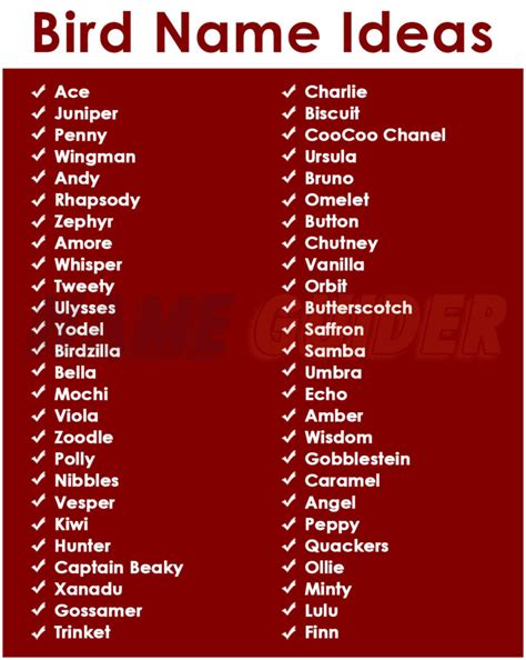 300 Bird Names Ideas And Suggestions Name Guider