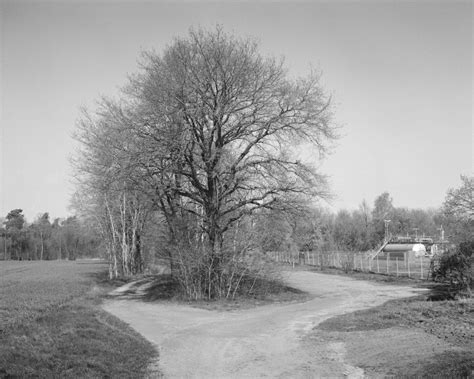 Viola Maiwald Bachelor Visual Journalism And Documentary Photography