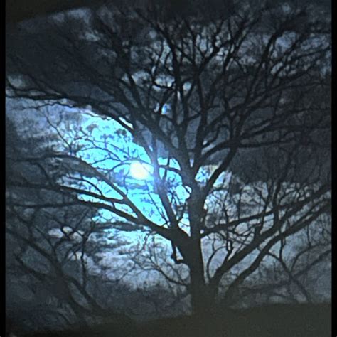 Moonsongrorsharch By Forlorn Ep Atmospheric Black Metal Reviews