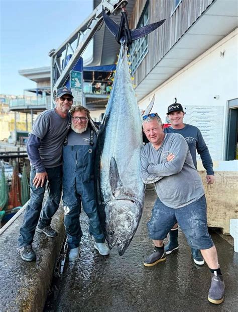 Worlds Largest Tuna Ever Caught Was Bigger Than Fisherman And Weighed